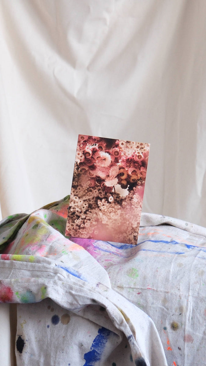 Pink Paper Daisy Card – Bess Paddington